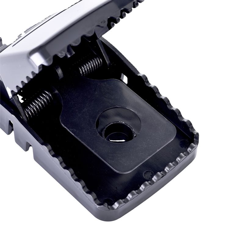 TRAPS: la trappola di primavera migliore per i roditori professionisti ...